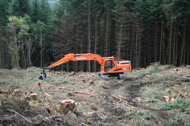 How Timber Gets From the Forest to Your Builders Merchant ...