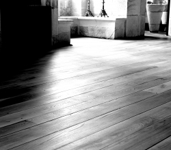 Softwoods | Softwood Timber Products | International Timber