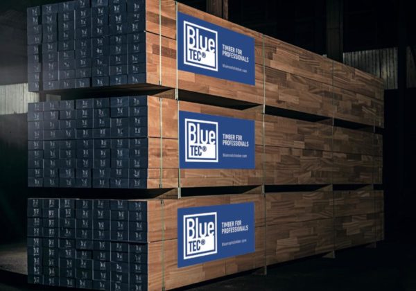 News and Latest Insights | International Timber