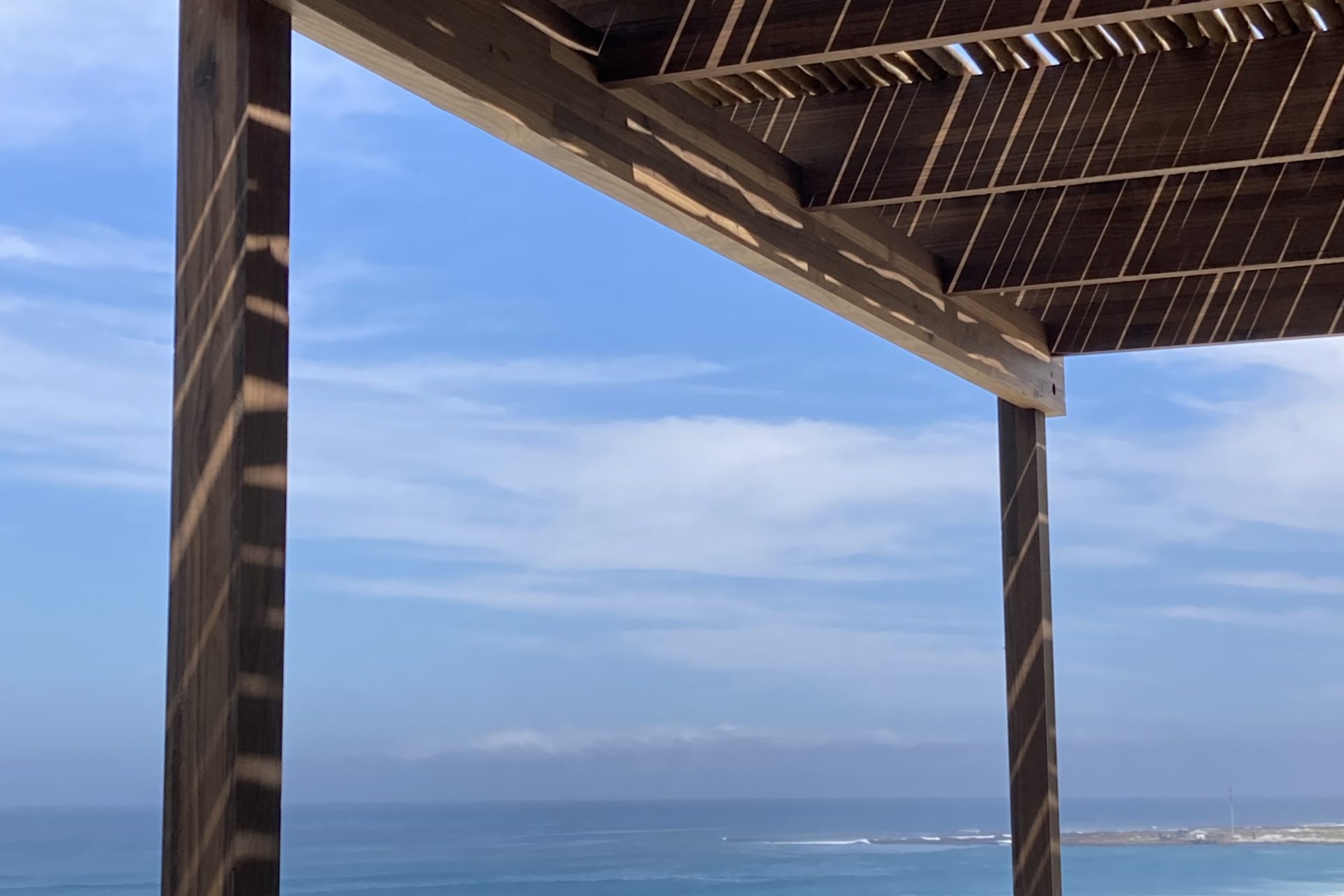 Rhino Wood | International Timber