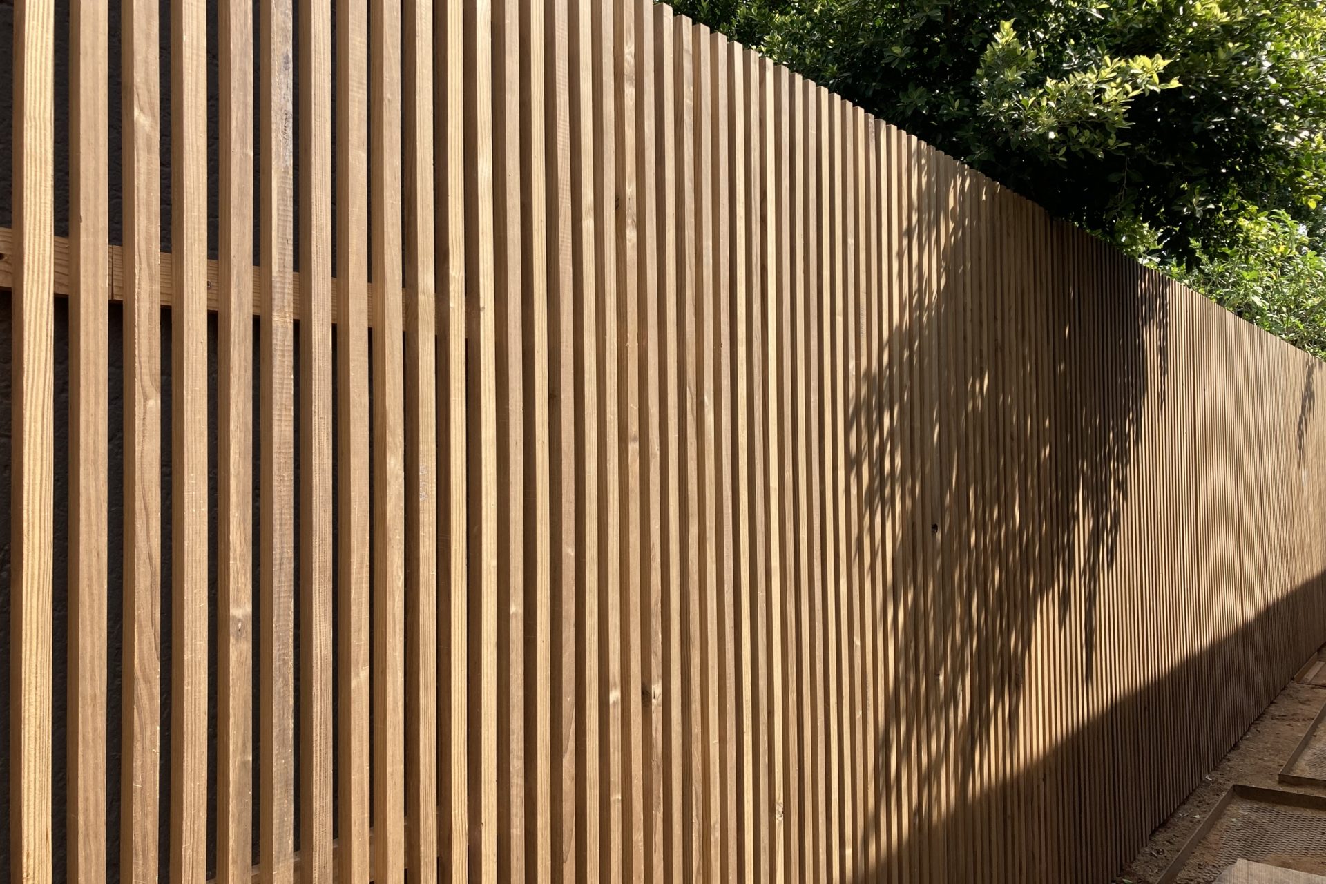 Rhino Wood | International Timber